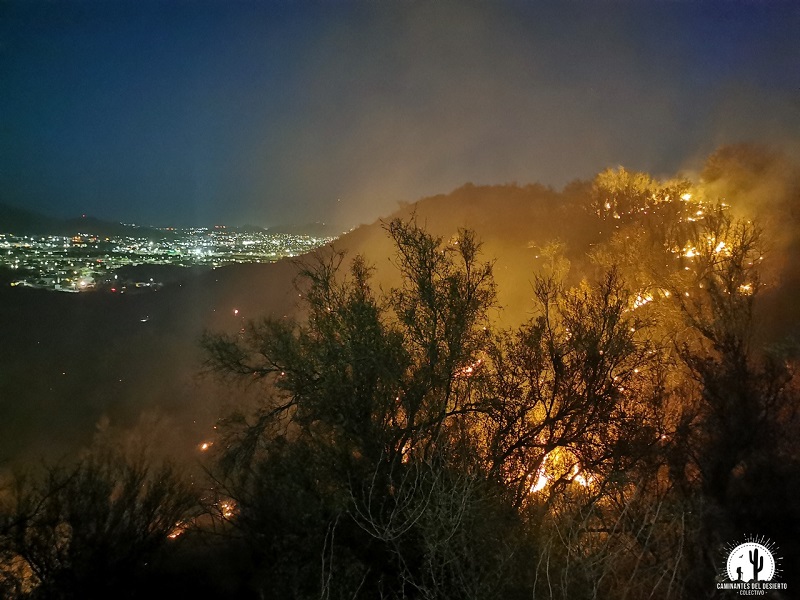 Reportan incendios en Cerro Johnson, El Bachoco, Akiwiki y La Cementera ...