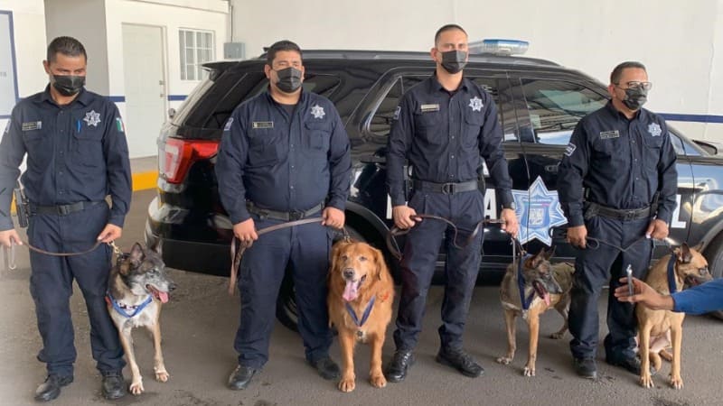 Jubilan con honores a cuatro oficiales caninos de la PESP en Sonora ...