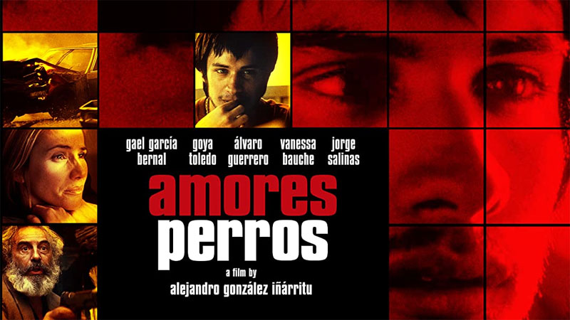 A 20 años de su estreno, Amores Perros regresa a las salas de cine - Proyecto Puente
