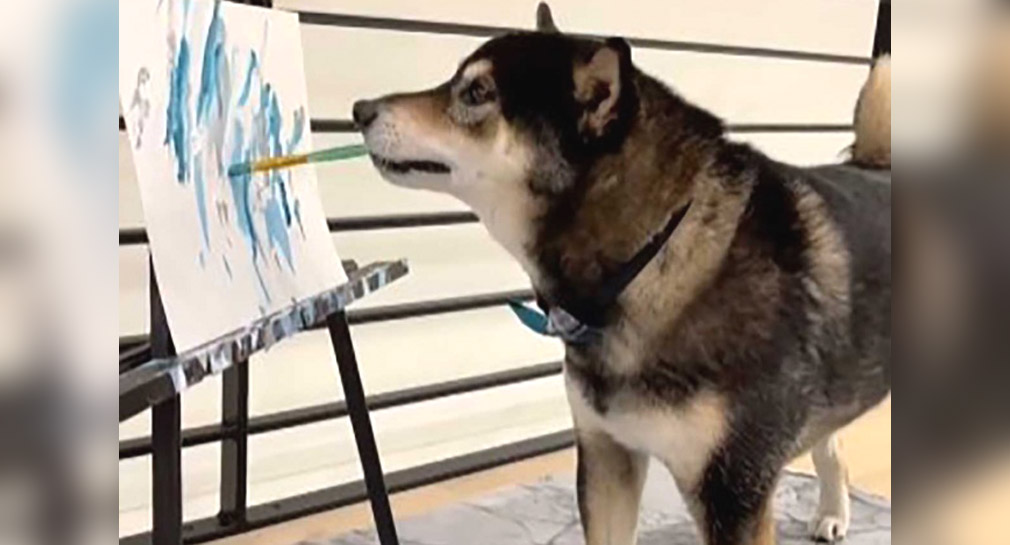 Perrito pintor gana más de 17 mil 800 dólares, venden sus cuadros en ...