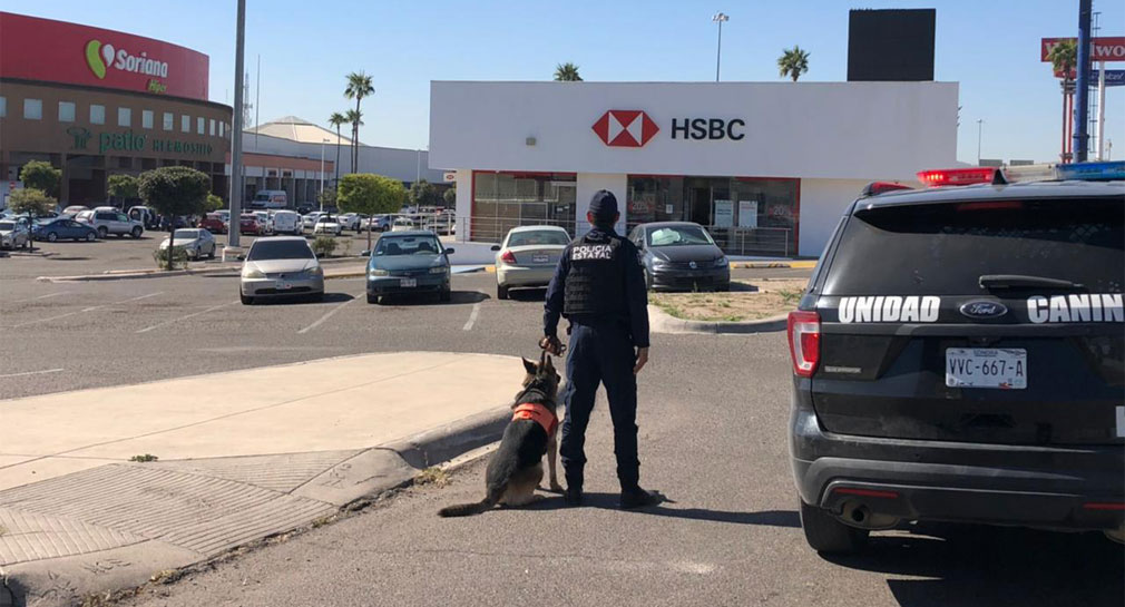 Unidad canina K-9 de la PESP participa en operativos de vigilancia por ...