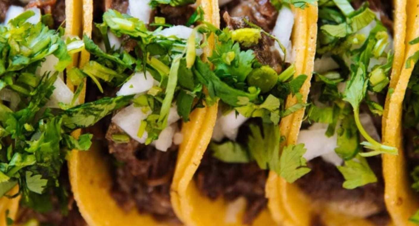 ¿Cómo identificar si te dieron taco de perro?, según Asociación Coreana ...