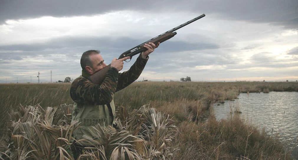 ¿Beneficia o perjudica la cacería en Sonora?, análisis a favor y en ...