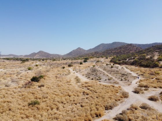 Cerro del Bachoco en Hermosillo, el más popular para practicar ...