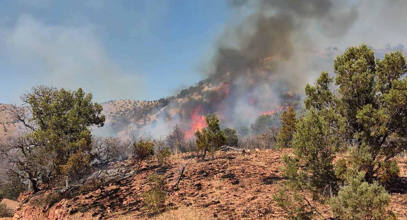 Se registra incendio forestal en carretera Cananea-Naco, informa ...