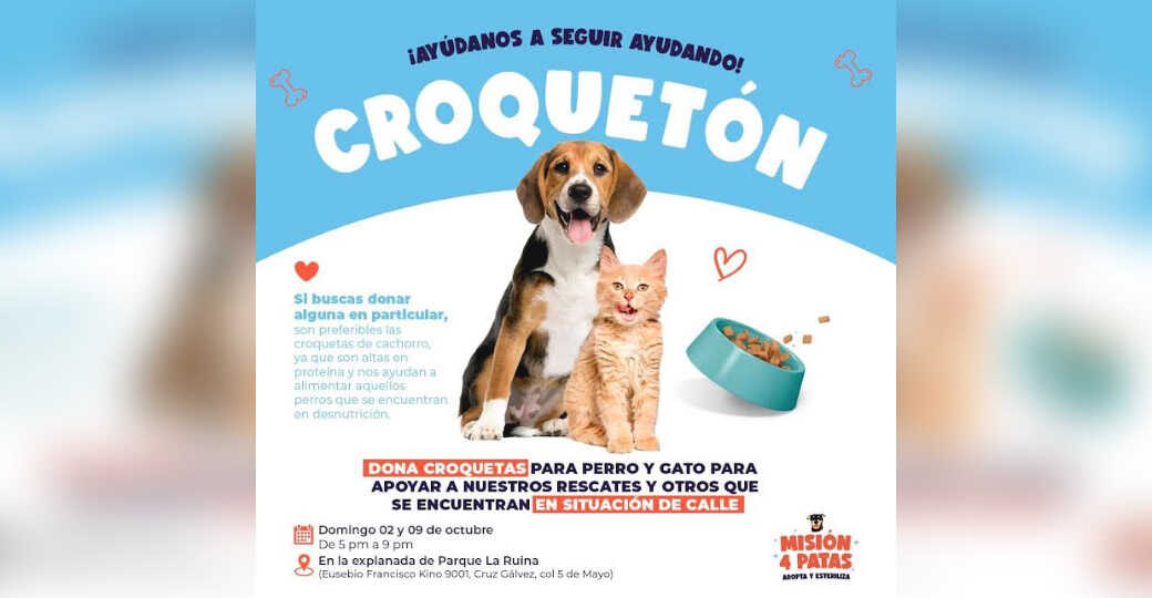 Para apoyo a perros y gatos rescatados de las calles, Misión 4 Patas ...
