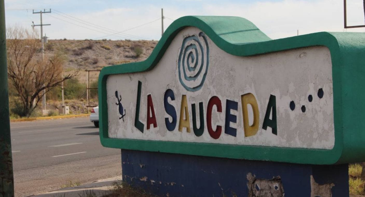 Presentan proyecto de bosque urbano en La Sauceda a comisión del ...