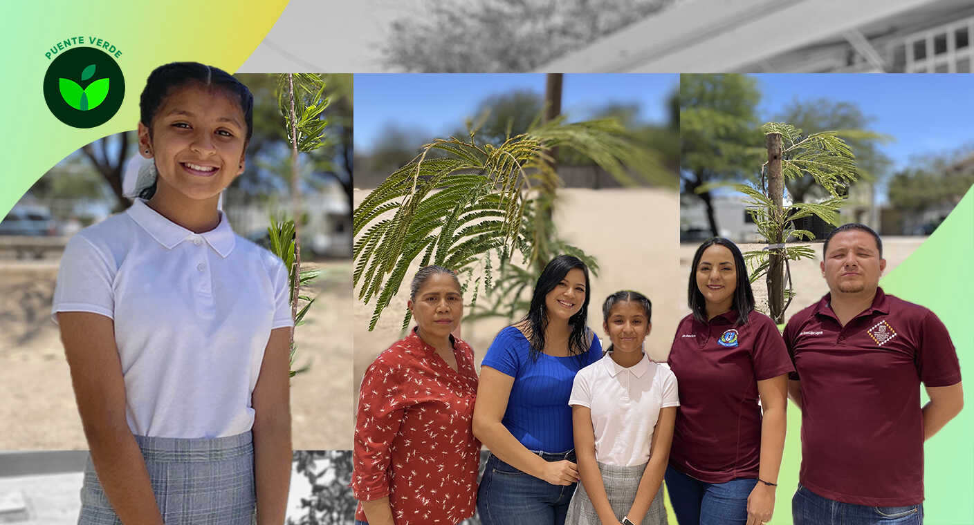 Por falta de sombra, Naomi reforestó su primaria con árboles nativos ...