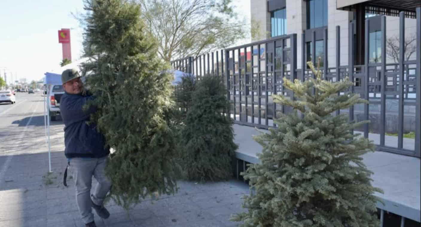 Llama gobierno de Hermosillo a aprovechar los centros de acopio de ... Llama gobierno de Hermosillo a aprovechar los centros de acopio de ...