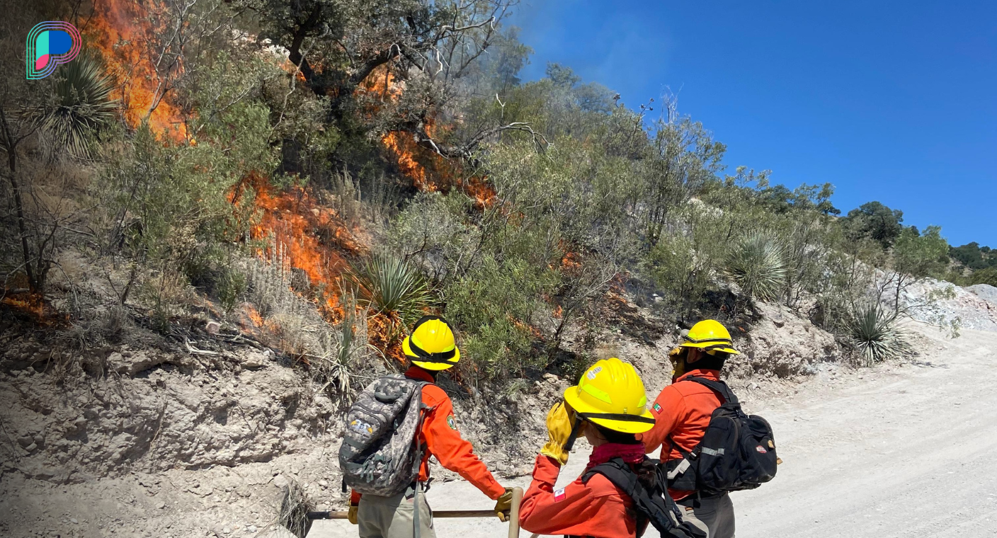 Liquidan dos incendios forestales en tramo carretero Ímuris-Cananea ...