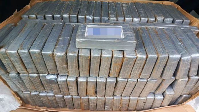 Binomio canino ‘Néstor’ detecta paquete con fentanilo valuado en mdd en ...