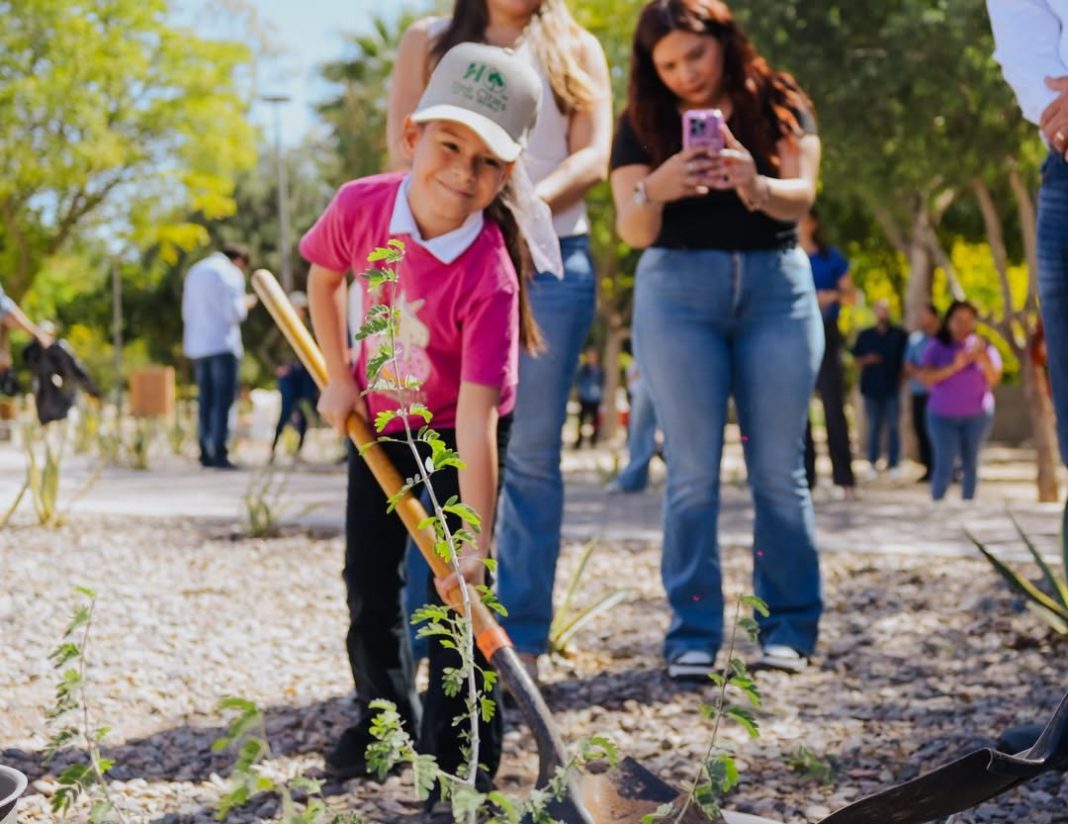 Hermosillo es reconocida como "Ciudad Árbol" a nivel mundial por ...