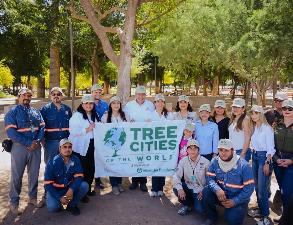 Hermosillo es reconocida como "Ciudad Árbol" a nivel mundial por ...