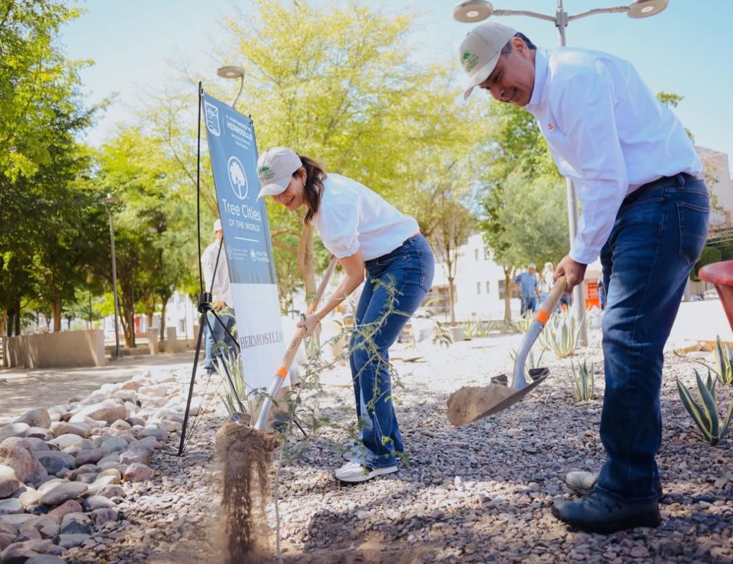 Hermosillo es reconocida como "Ciudad Árbol" a nivel mundial por ...