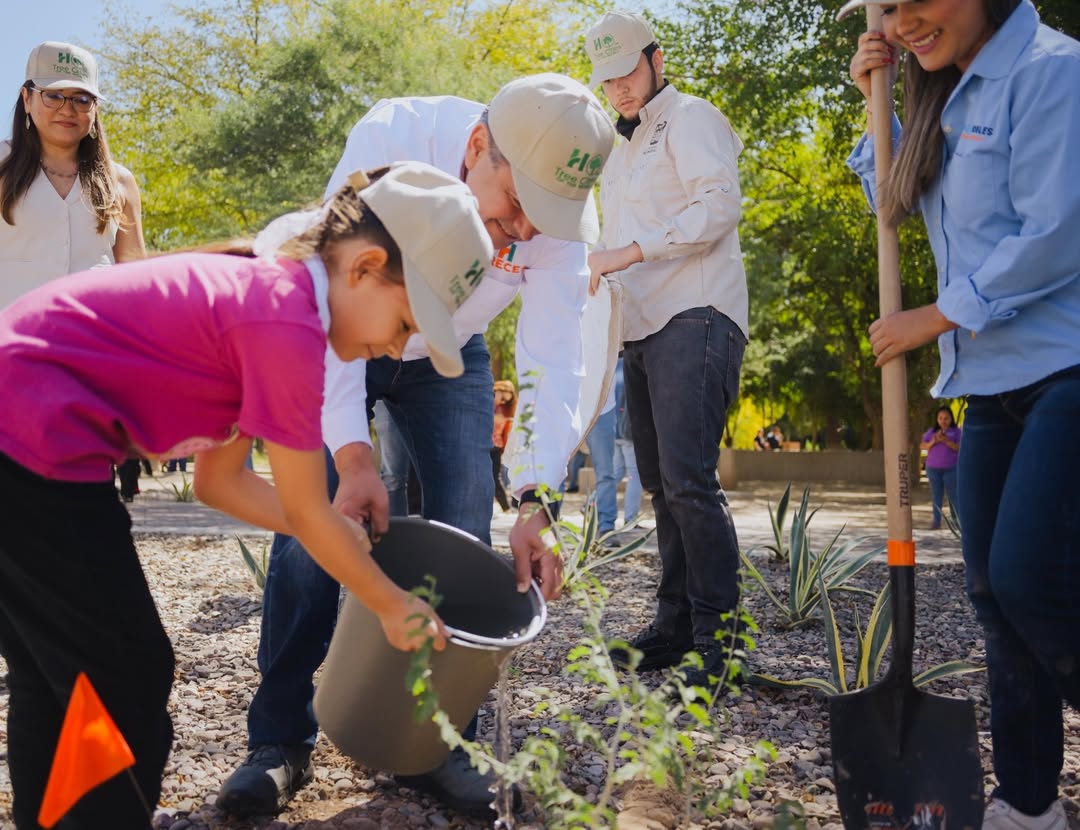Hermosillo es reconocida como "Ciudad Árbol" a nivel mundial por ...