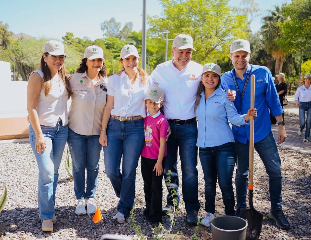 Hermosillo es reconocida como "Ciudad Árbol" a nivel mundial por ...