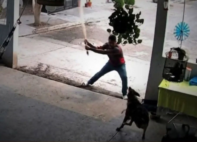 Detienen a hombre acusado de brutal agresión contra “Toto” en Navojoa ...