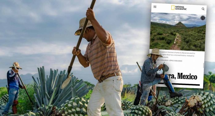 Bacanora de Sonora, la joya en National Geographic; celebra 10 ...